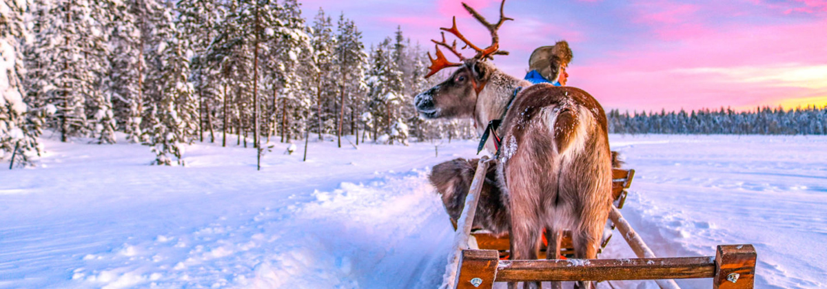 7 Days CHRISTMAS IN LEVI, ROVANIEMI, AND SANTA'S VILLAGE - Tsokkas Travel
